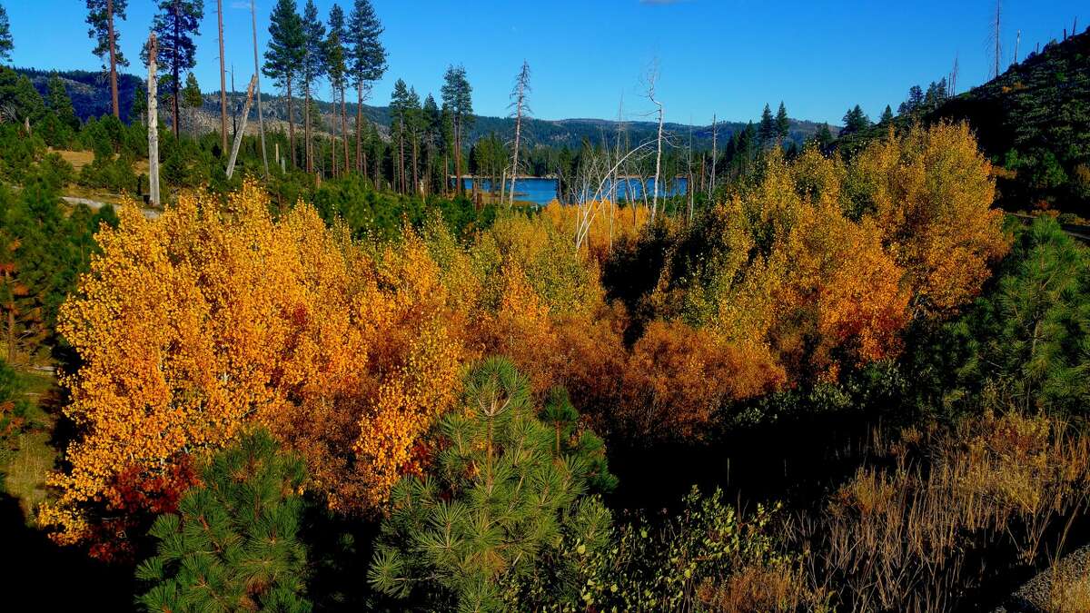 Where to find the prettiest fall foliage in Northern California and Bay ...
