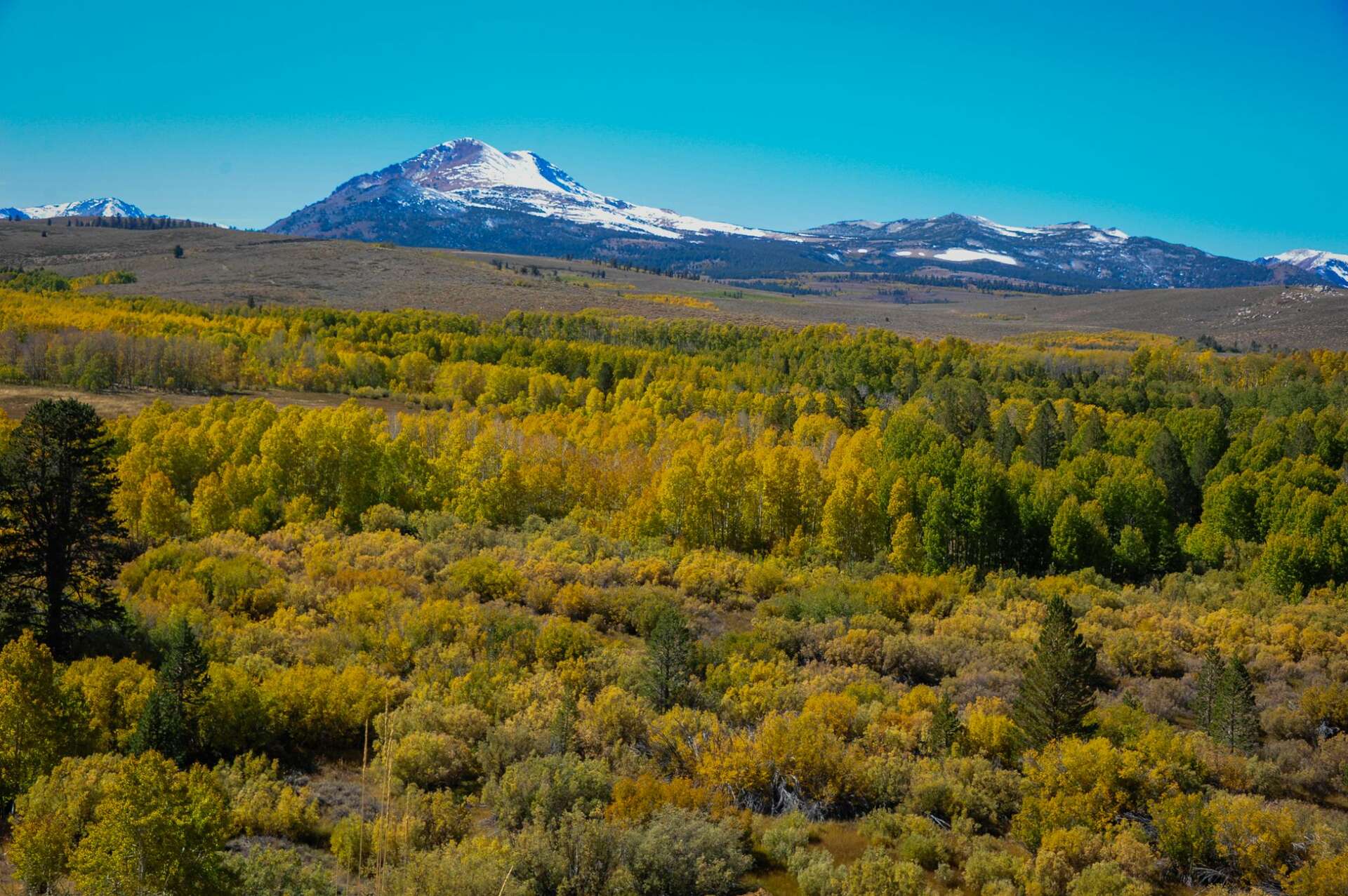 Unusual fall color season finally arrives in California