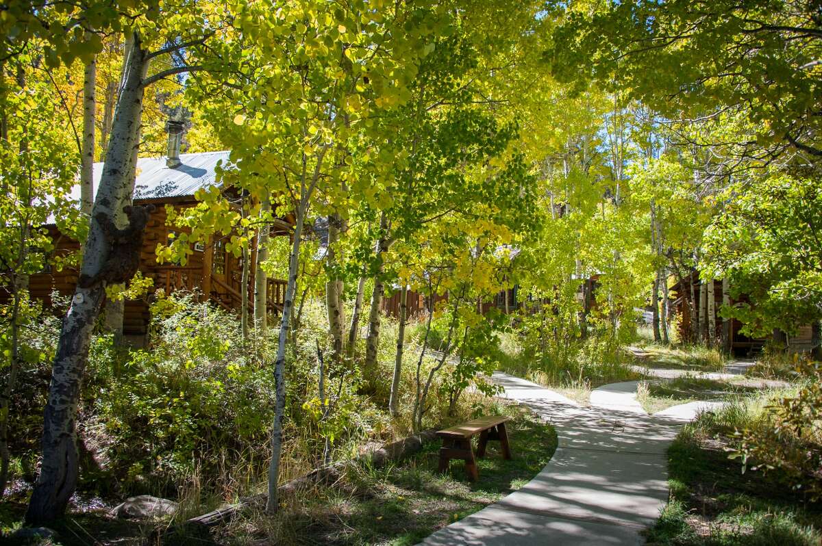 Unusual fall color season finally arrives in California