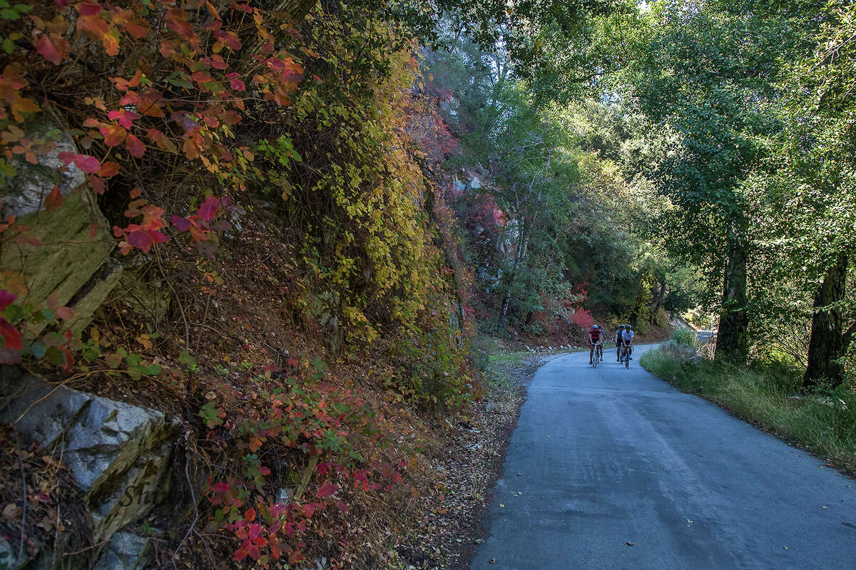 Unusual fall color season finally arrives in California