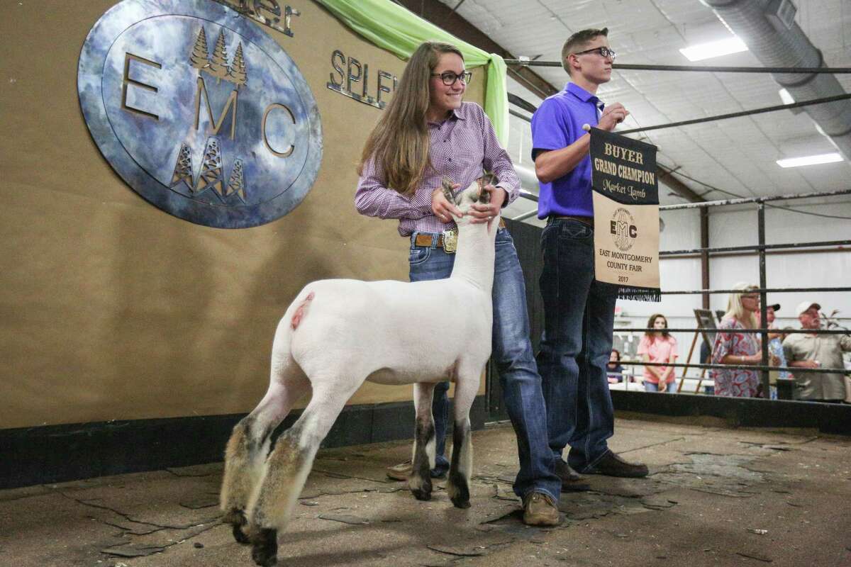 Siblings compete for EMC grand champion lamb