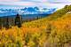 Fall colors: Liftoff in Eastern Sierra