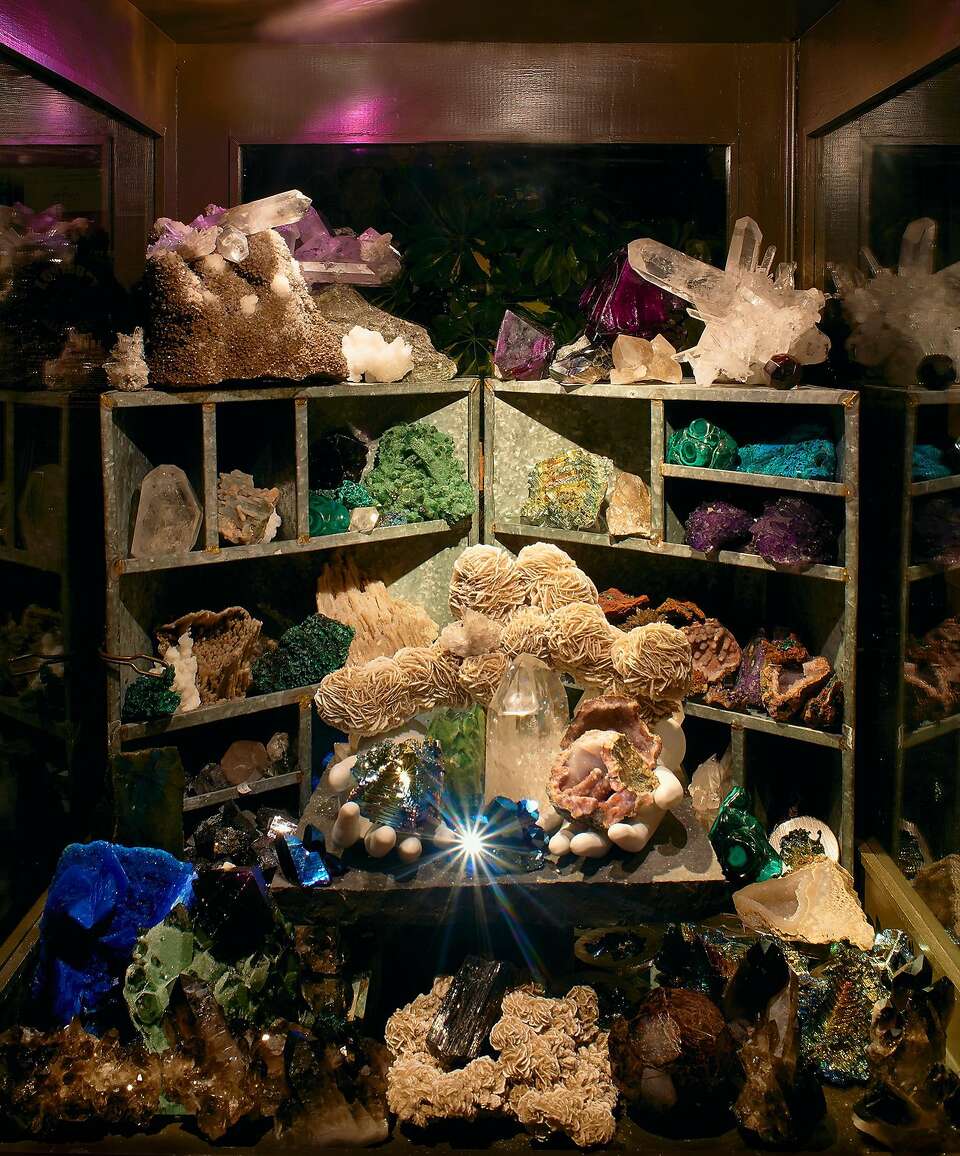 Paxton Gate celebrates 25 years of taxidermy, fossils and more