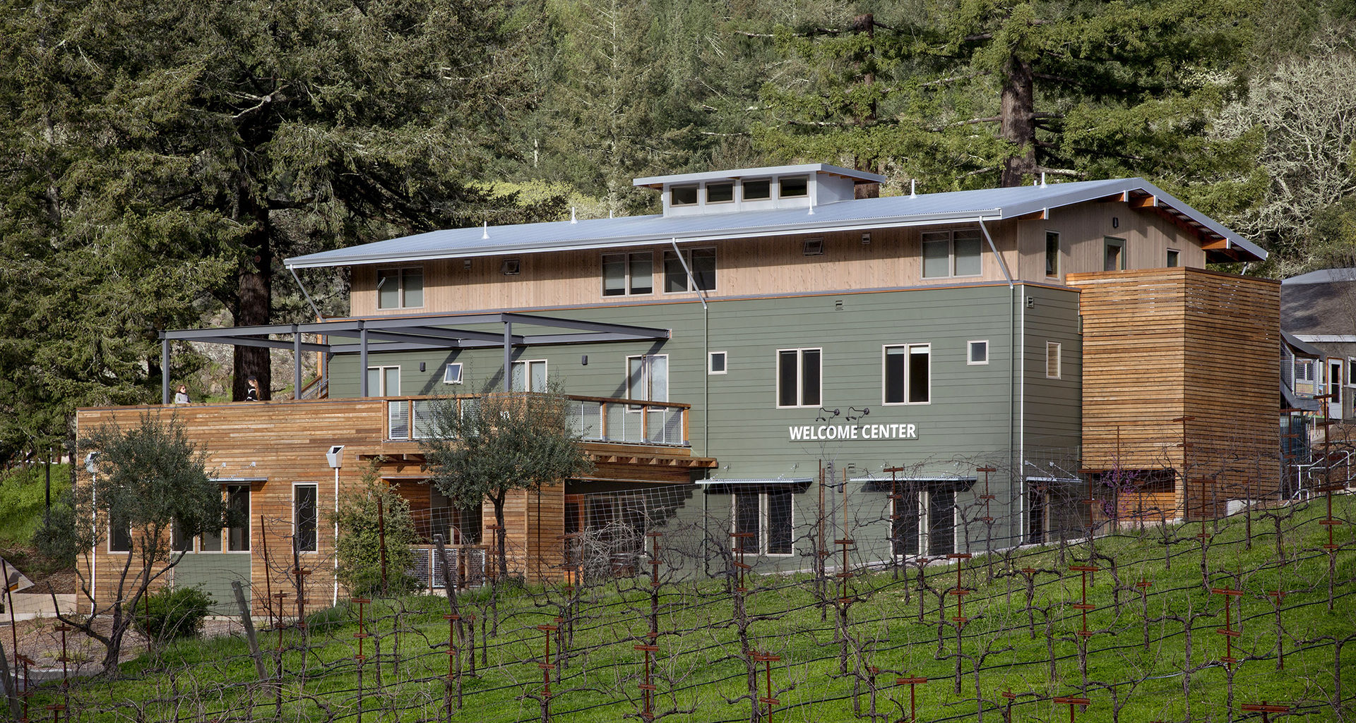 Camp Newman, popular Jewish summer camp in Santa Rosa, destroyed by flames