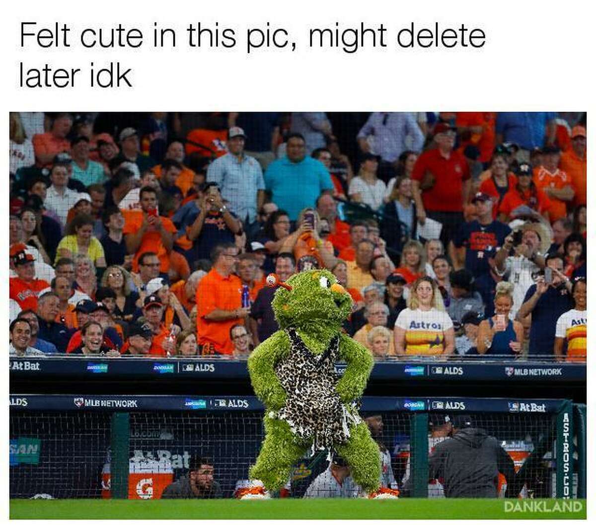 Astros memes and GIFs for every situation