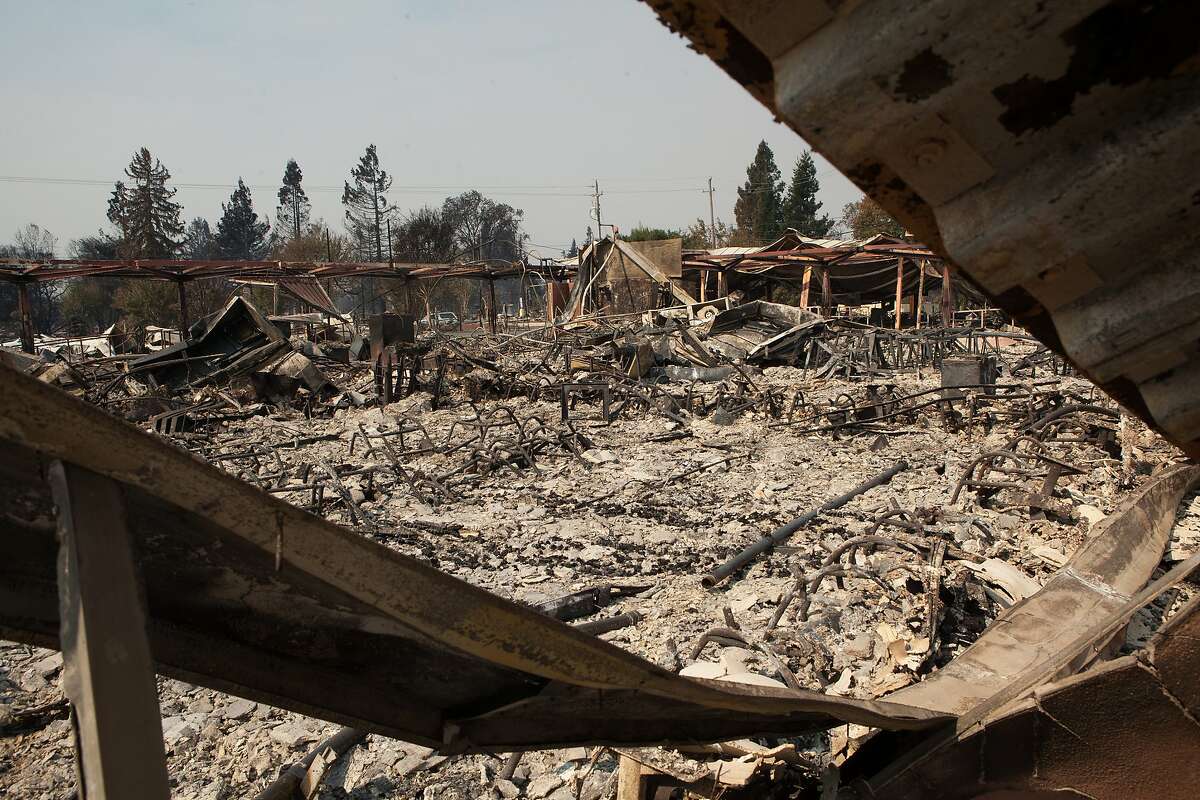 Cardinal Newman High School bands together in wake of fire