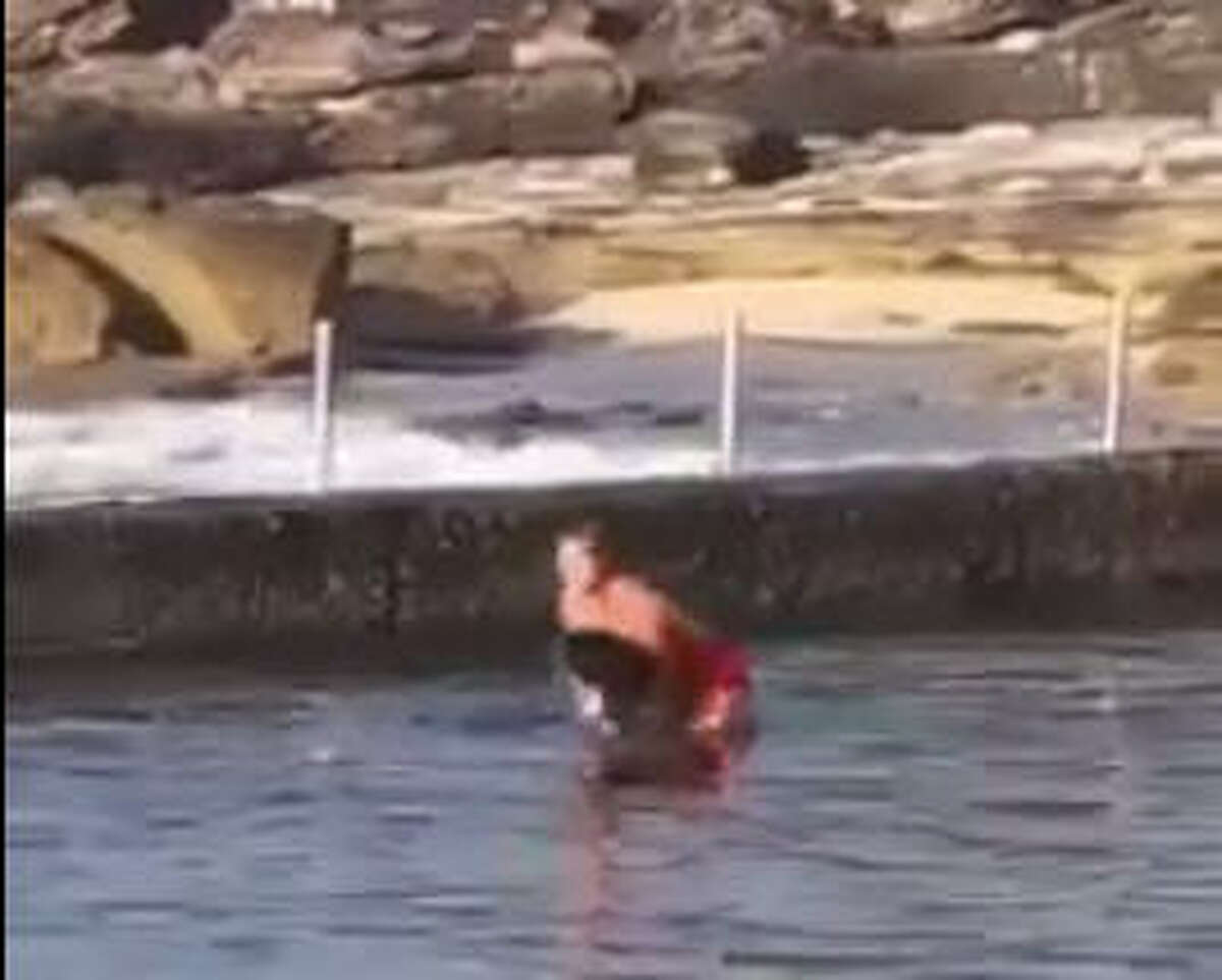 Video: Woman picks up shark, throws it out of a pool