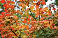 First day of autumn: 7 of Seattle's best parks and trails to see fall ...