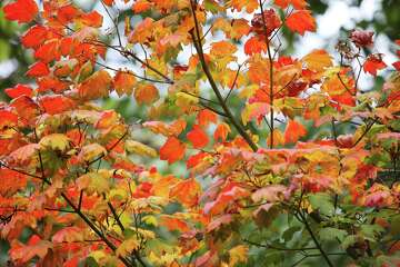 First day of autumn: 7 of Seattle's best parks and trails to see fall ...