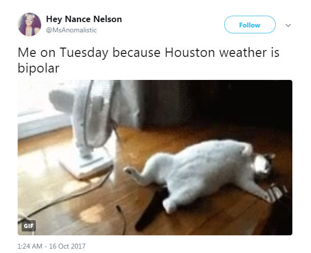 Houstonians react to remarkable fall weather after cold front blows in