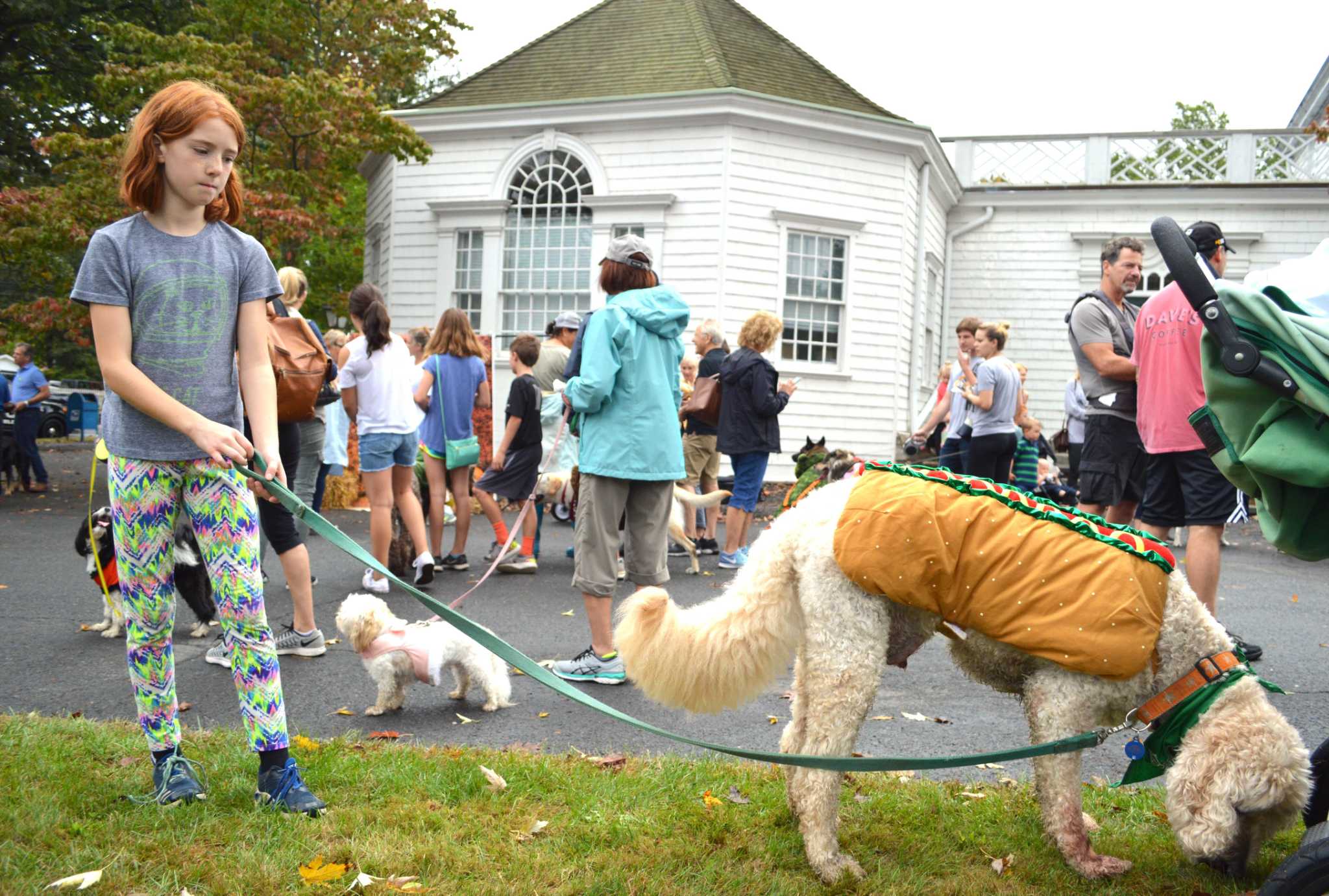 In Pictures: Dogs show off their costumes in annual Halloween parade