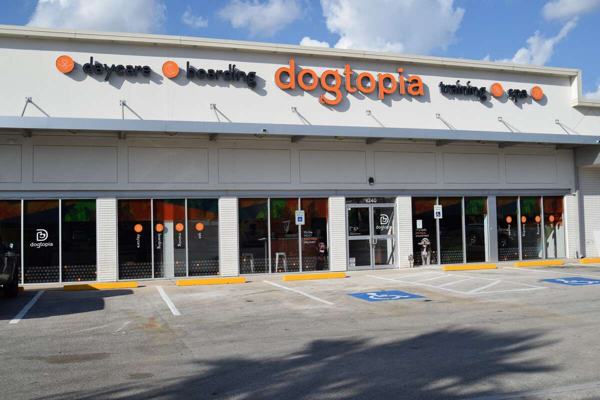 Dogtopia opens Galleria area location