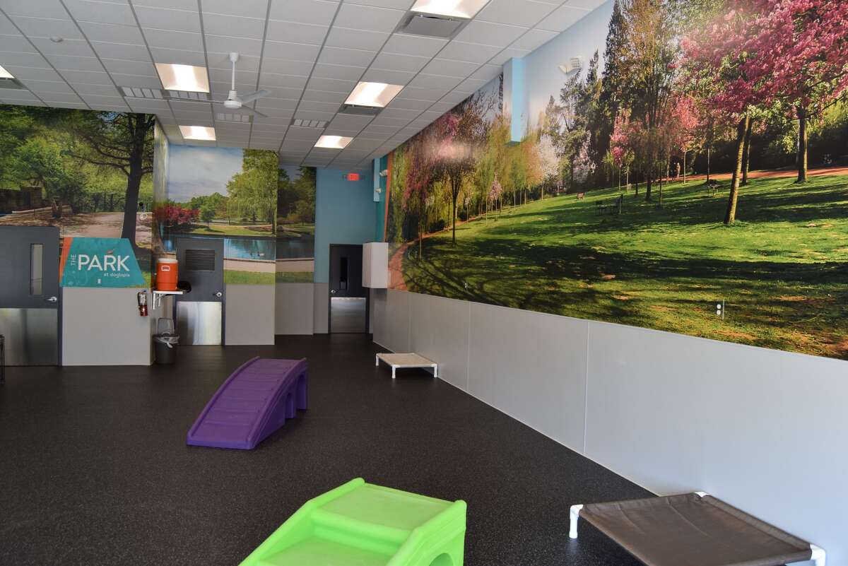 Dogtopia opens Galleria area location