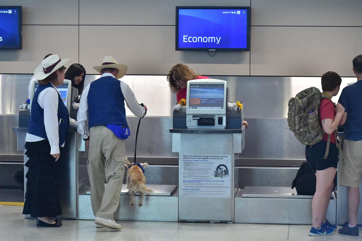 Pups and Planes initiative plays big part of Airport Ambassadors program