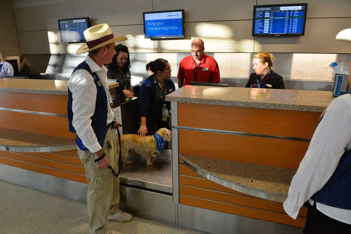 Pups and Planes initiative plays big part of Airport Ambassadors program