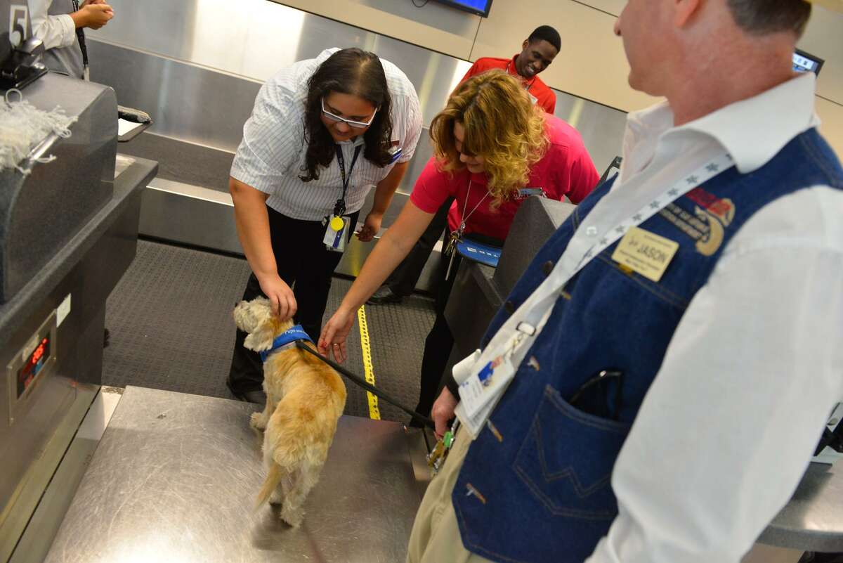 Pups and Planes initiative plays big part of Airport Ambassadors program