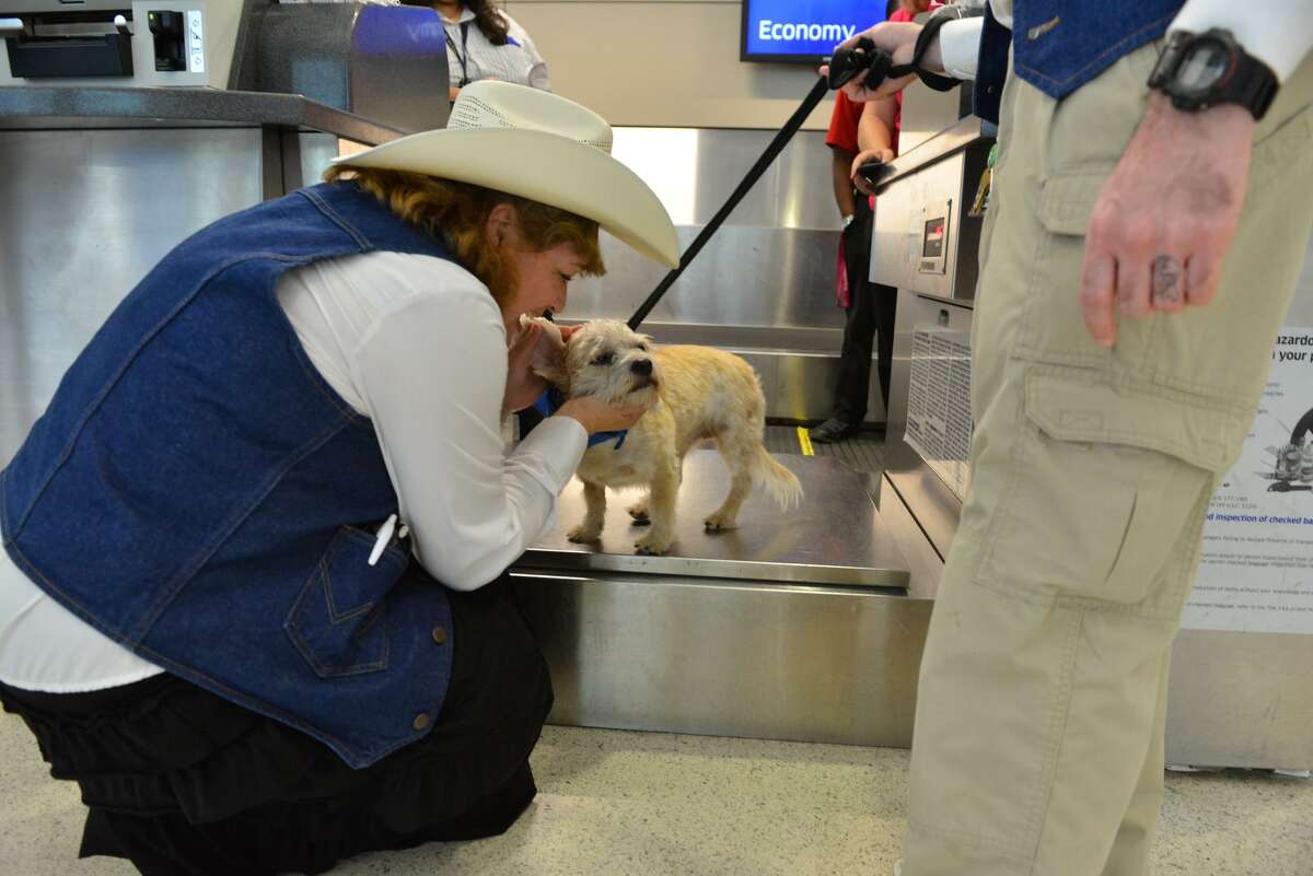 Pups and Planes initiative plays big part of Airport Ambassadors program