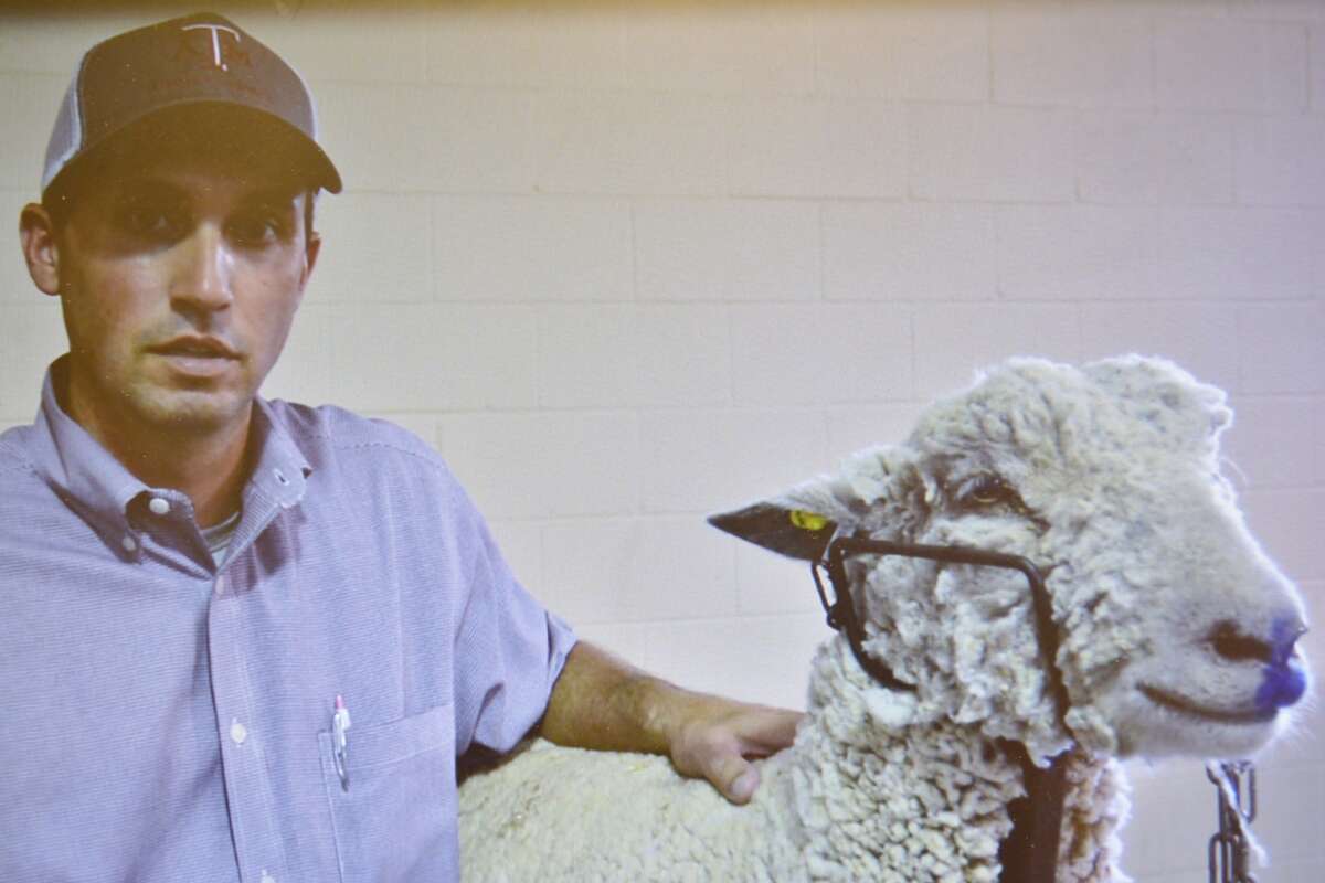 AgriLife Extension publishes sheep, goat validation videos