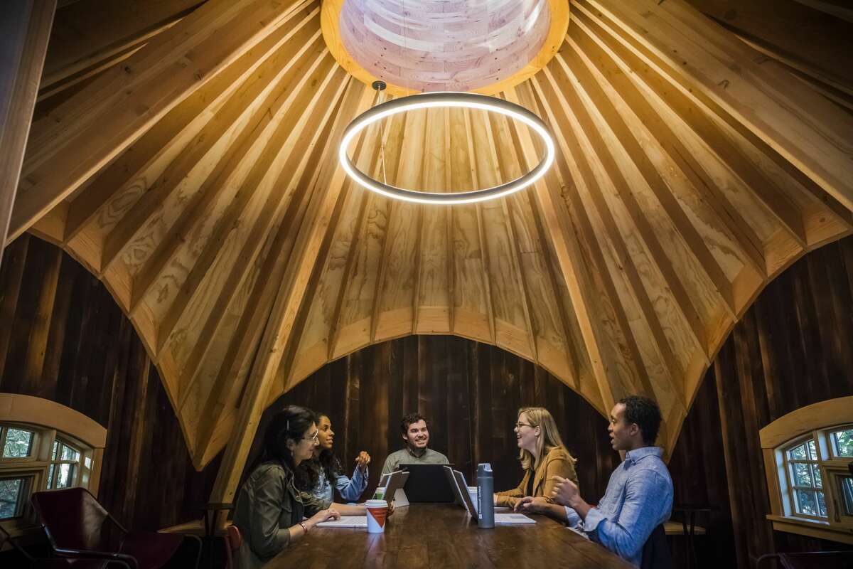 Check out Microsoft's new tree house meeting spaces