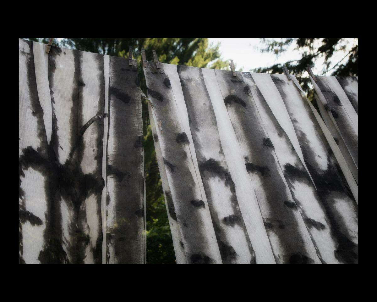 Hunt Library presents paintings by Patricia Decker