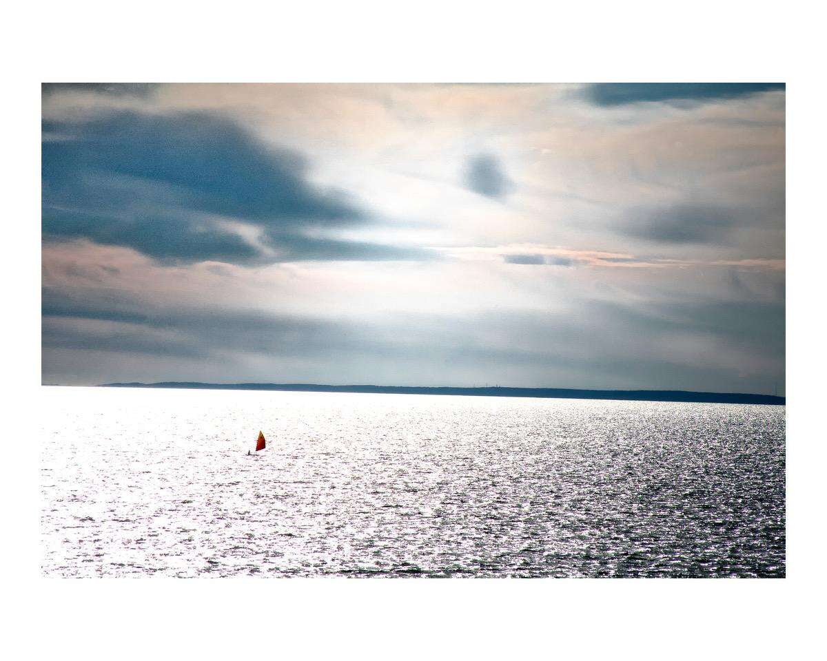 Hunt Library presents paintings by Patricia Decker