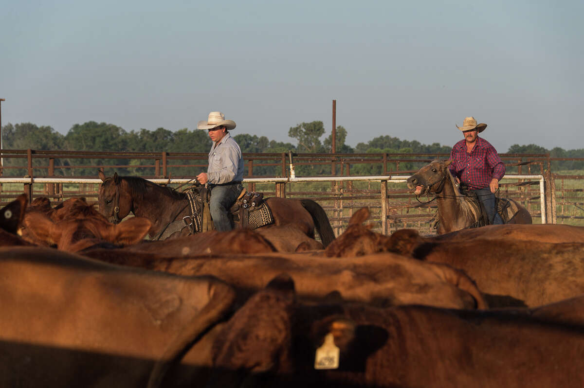 Massive North Texas ranch goes up for sale