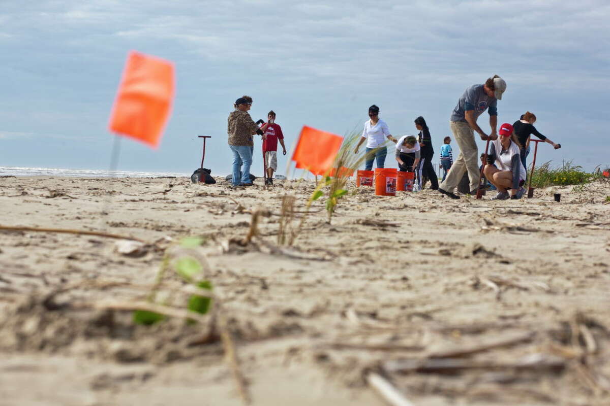 See which Houston-area beaches currently have dangerous fecal matter ...
