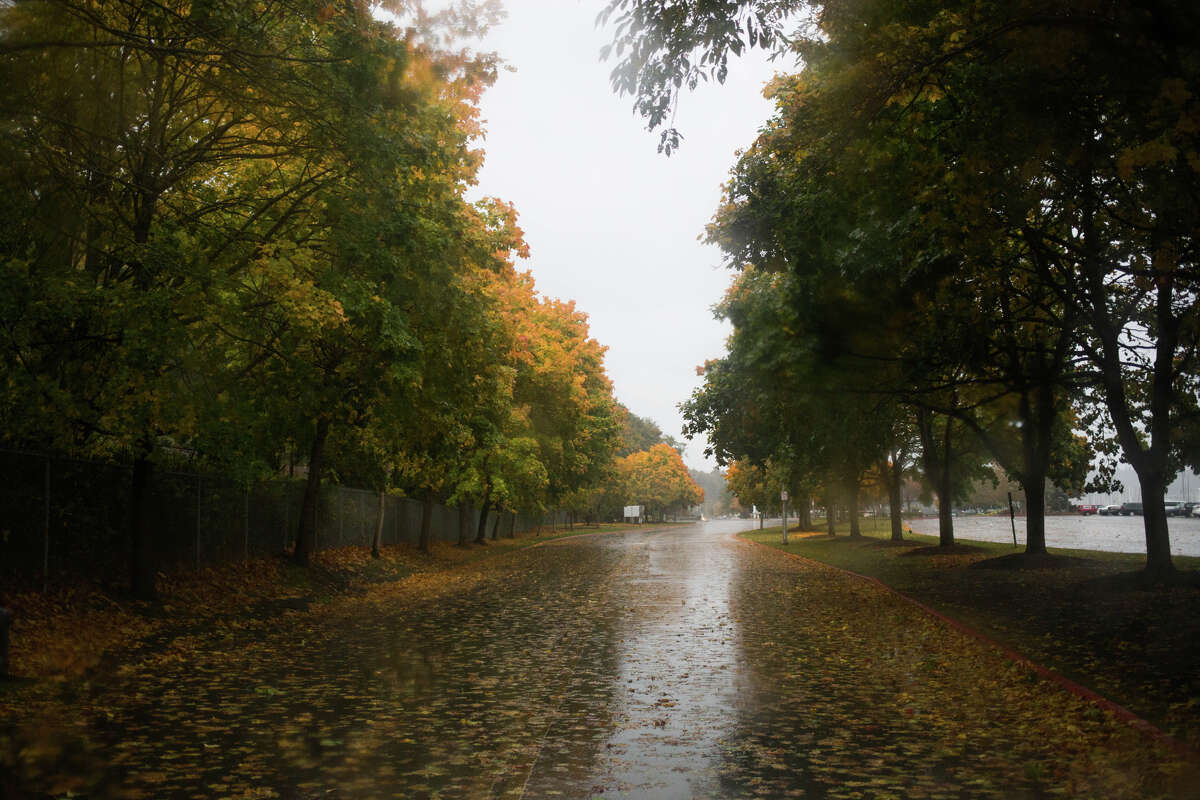 Arriving now: River of rain from across the Pacific