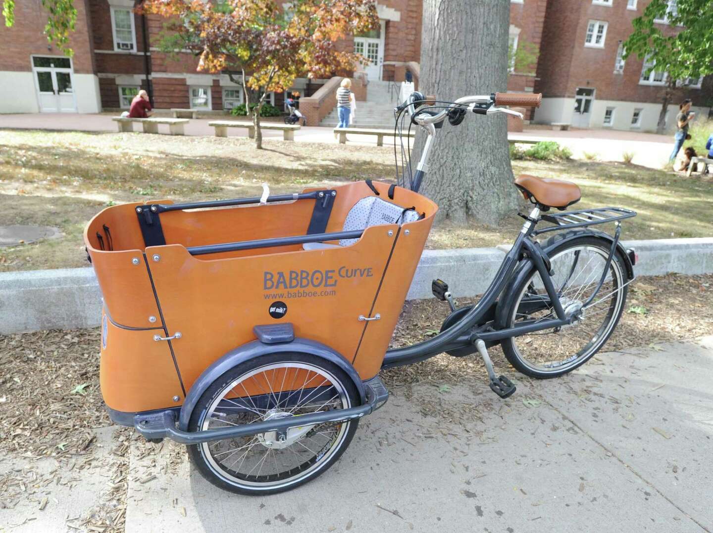 Box bikes take over Old Greenwich, Riverside