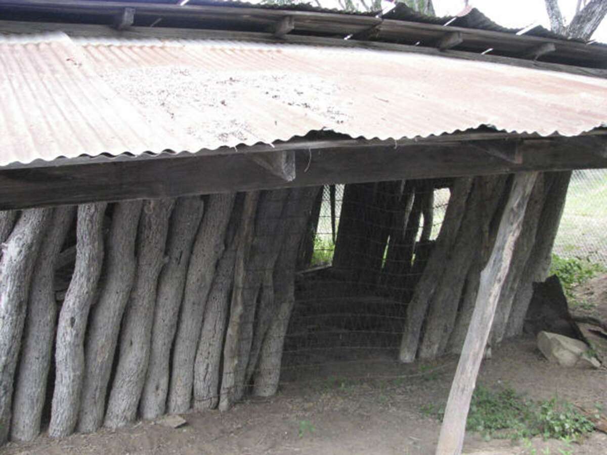 Rare jacales reflect city’s roots