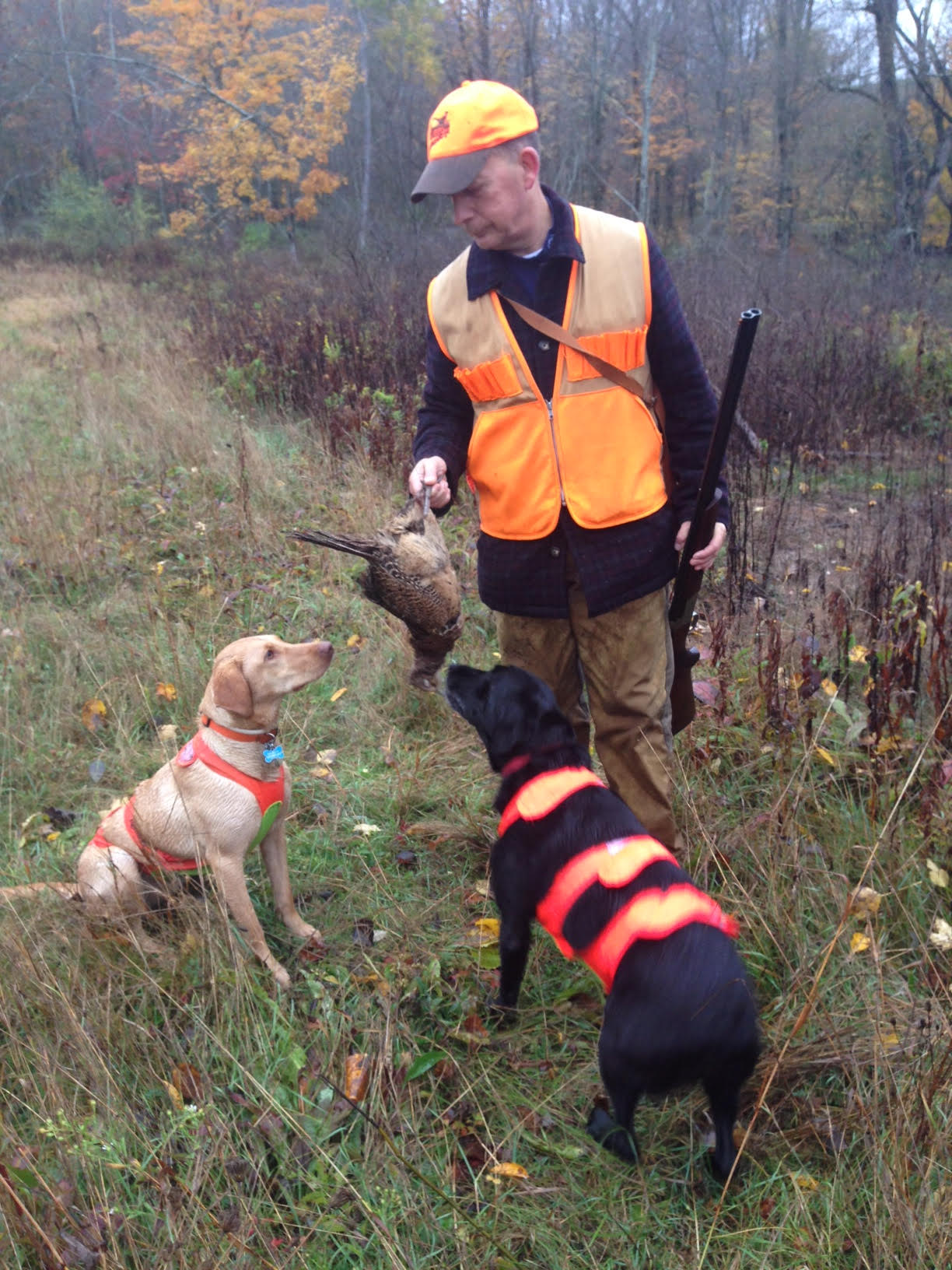 Outdoors: Special bond formed between hunter, dog