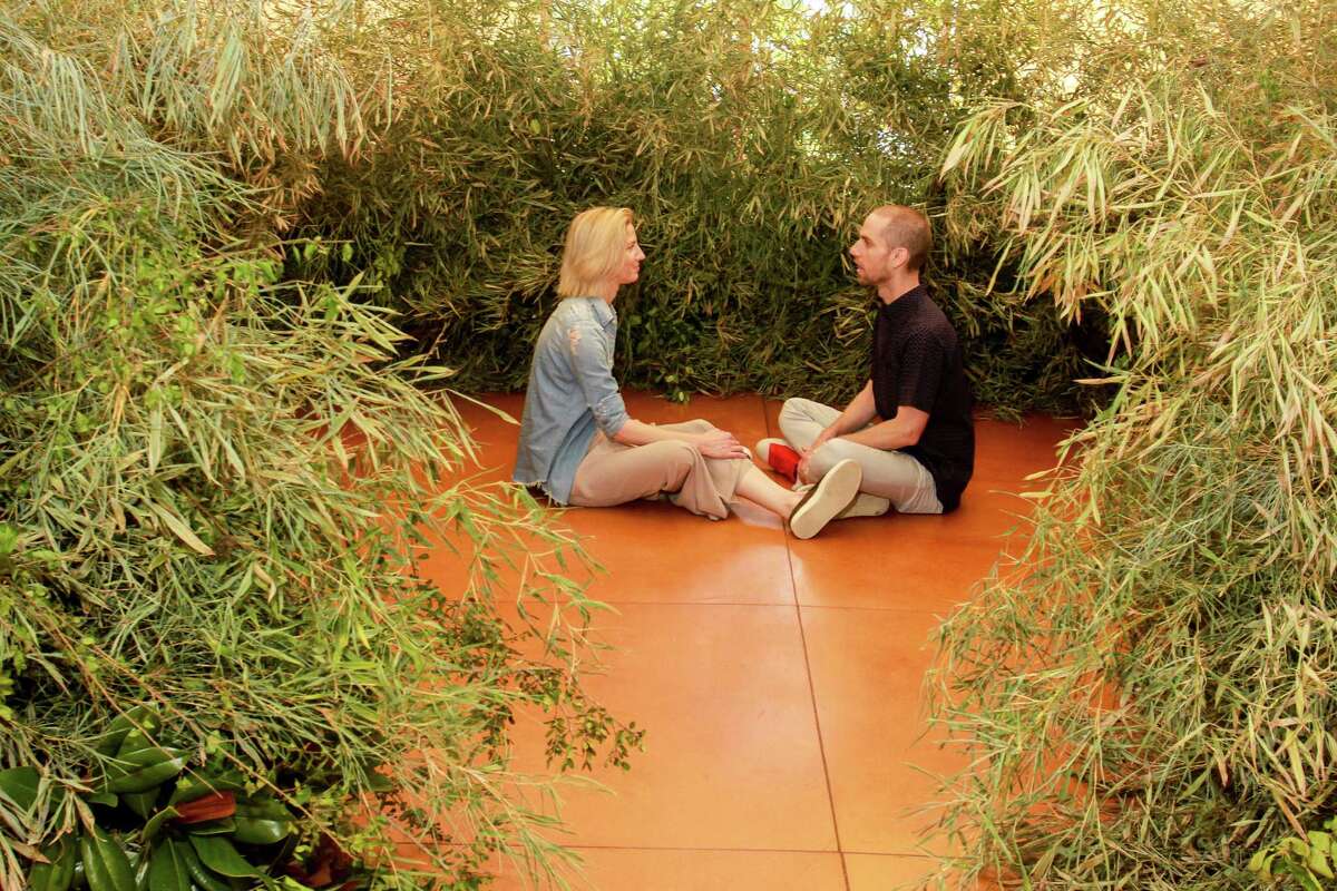 Artist turns to nature to create fragrant indoor wildscapes