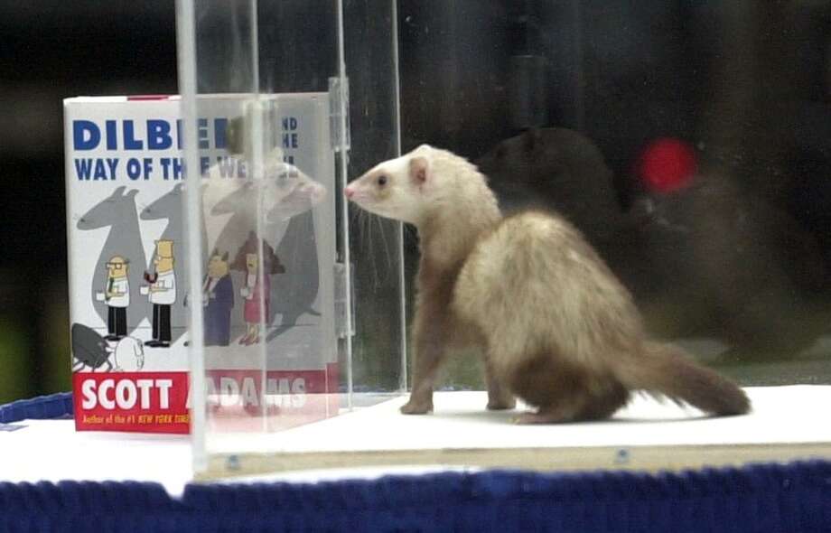 Weasel words were delivered — frequently - San Antonio Express-News