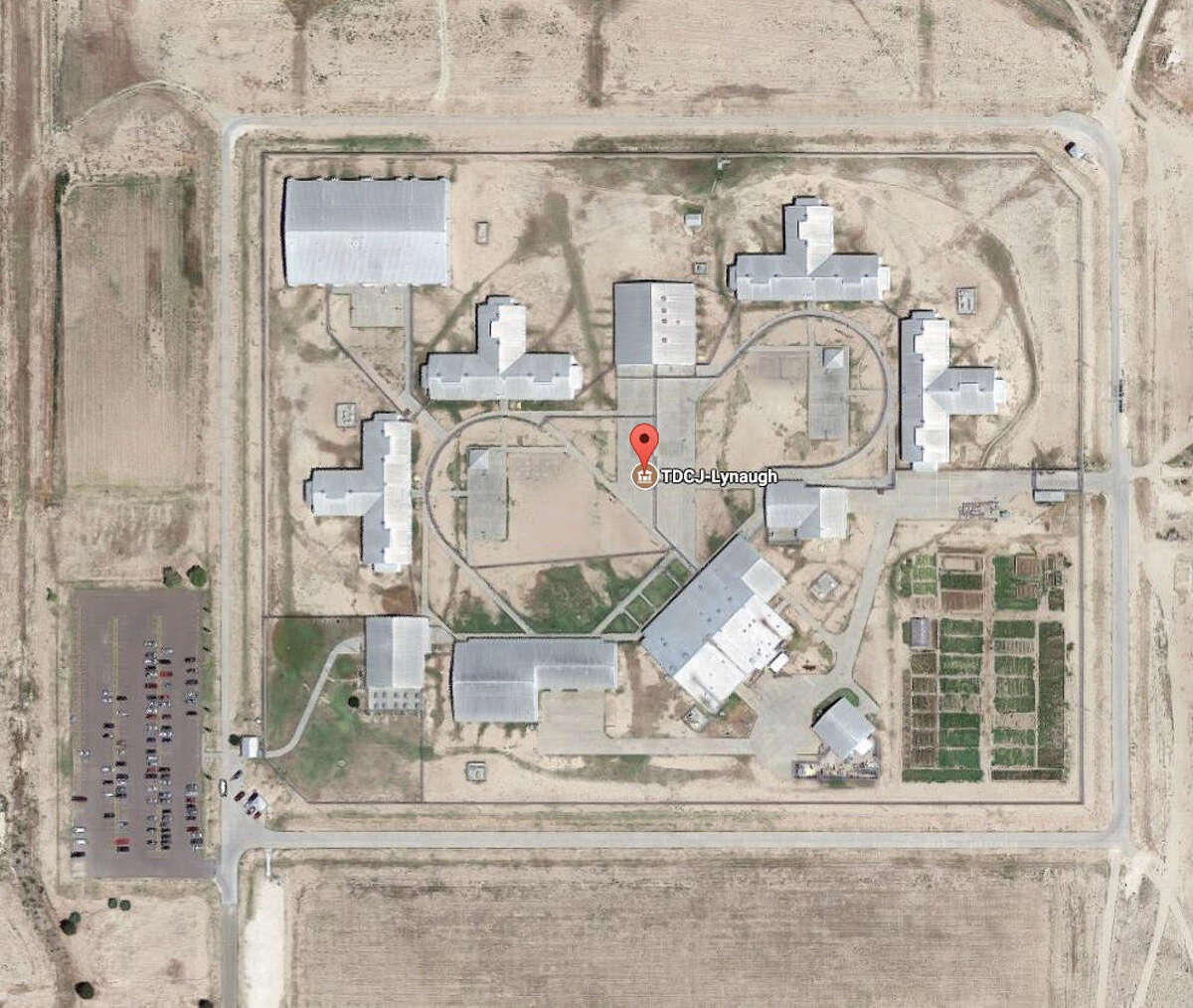 Texas female prison population rises as male population decreases