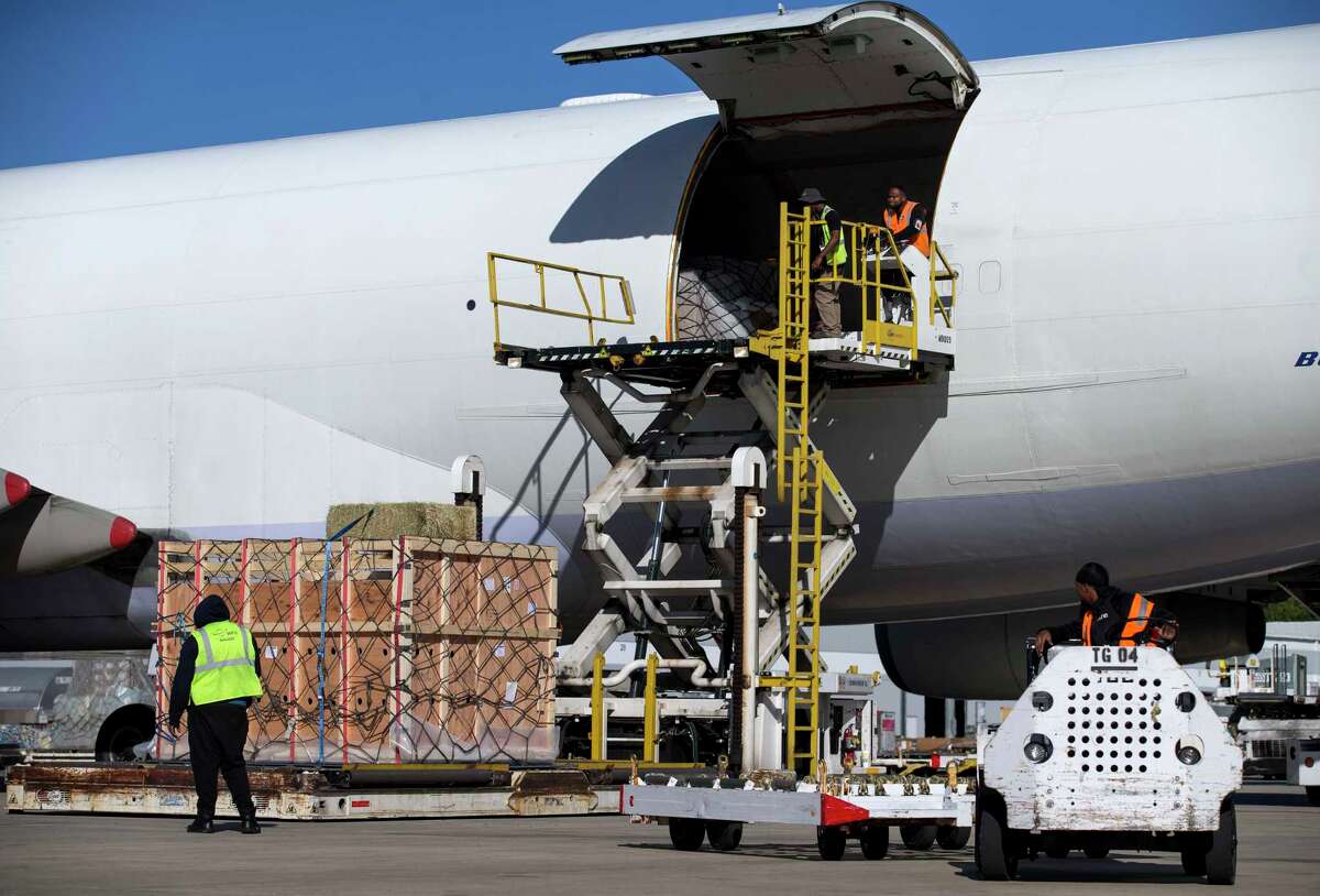 Hooves on a plane: Texas ranches air freight cattle to Vietnam
