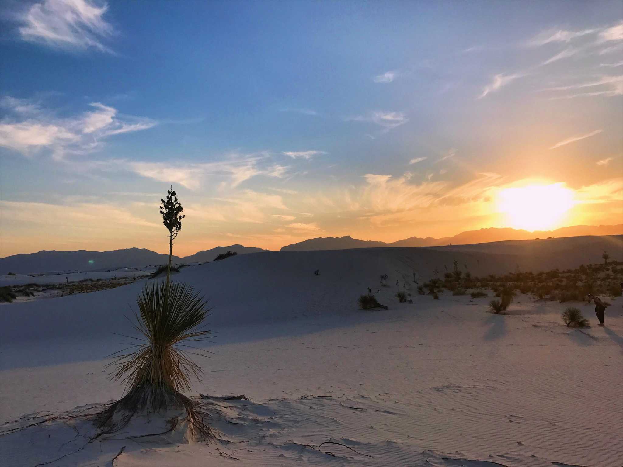 Texas State mass communication students enjoy sand dunes of New Mexico