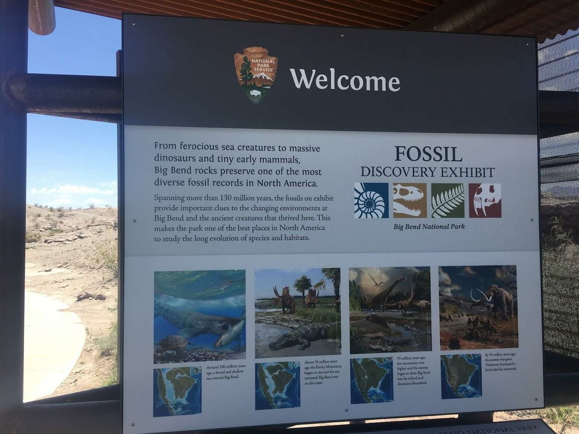 Dinosaurs take over Big Bend at fossil exhibit