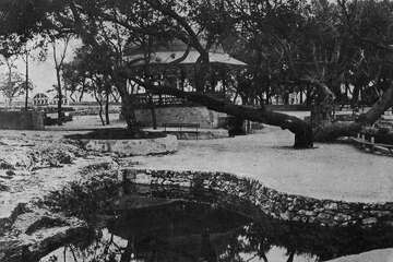 Walking through San Antonio's San Pedro Springs Park