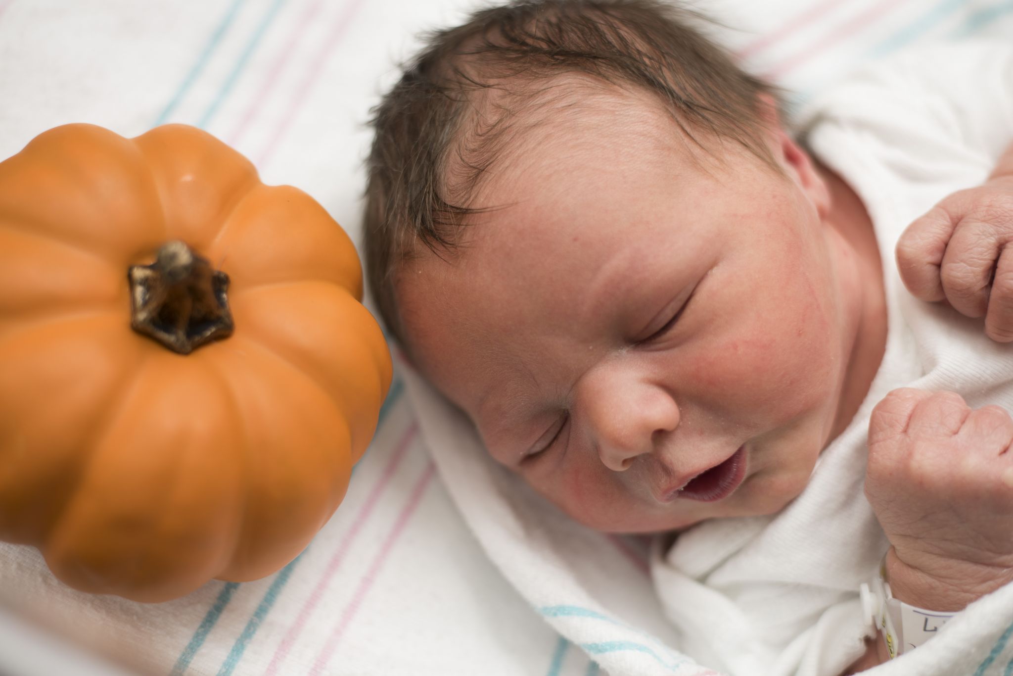 Houston hospital shares images of tiny babies with tiny pumpkins for ...