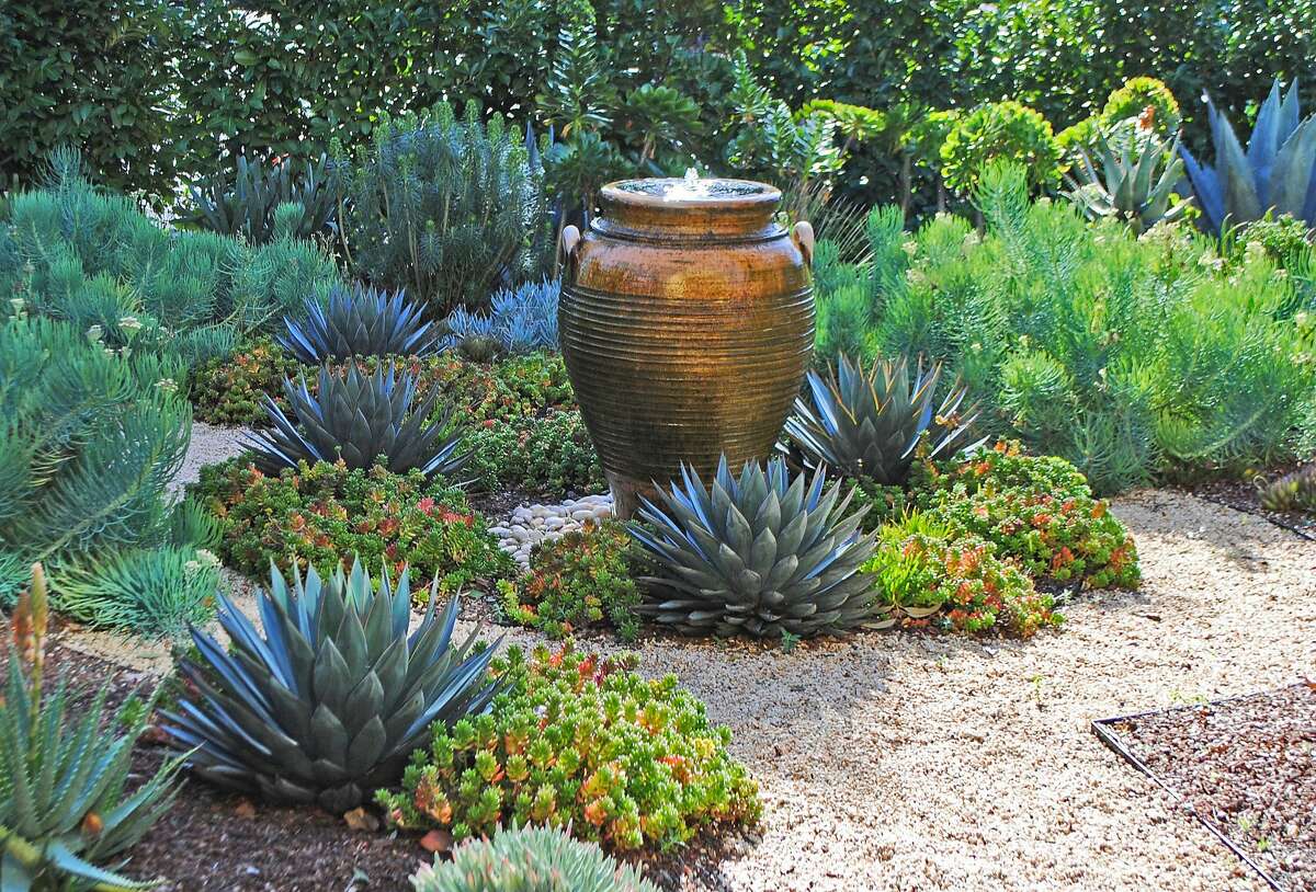 Succulents take center stage again in new edition of landscape book
