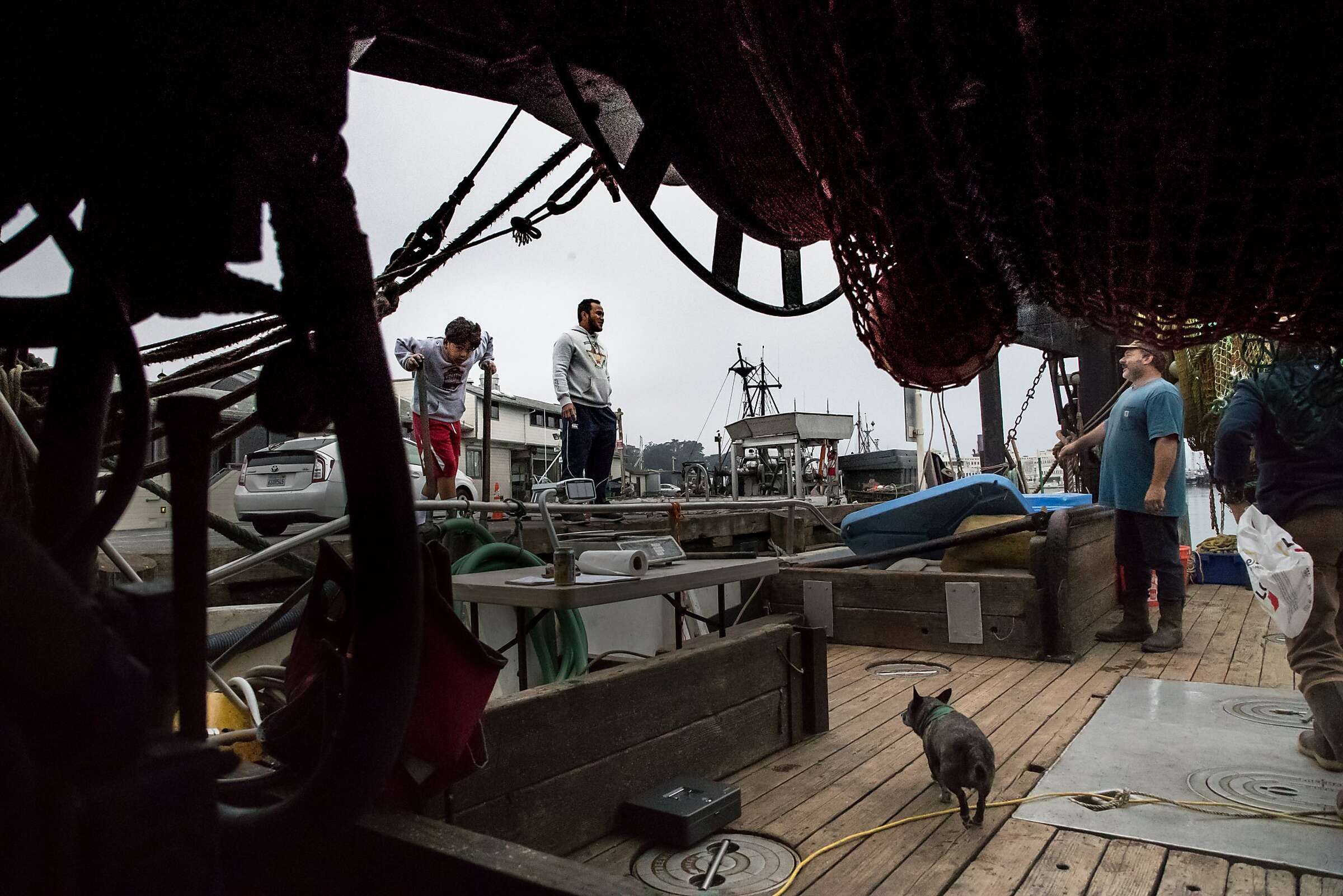 Seafood sales finally under way at Fisherman’s Wharf