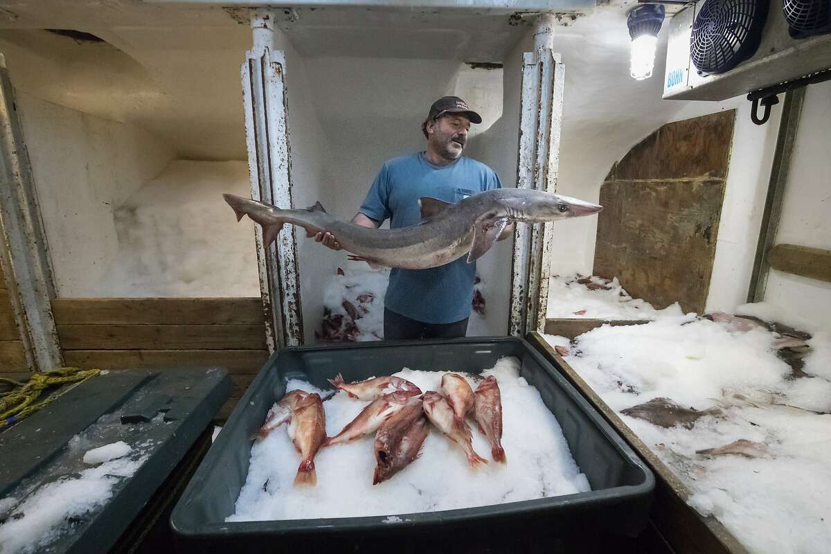 Seafood sales finally under way at Fisherman’s Wharf