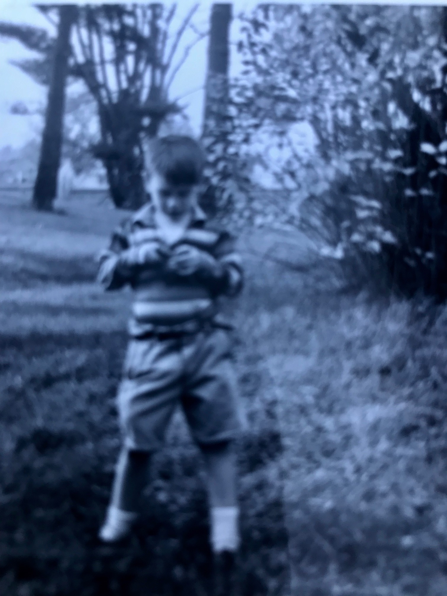 Albany's tree whisperer retires after 31 years