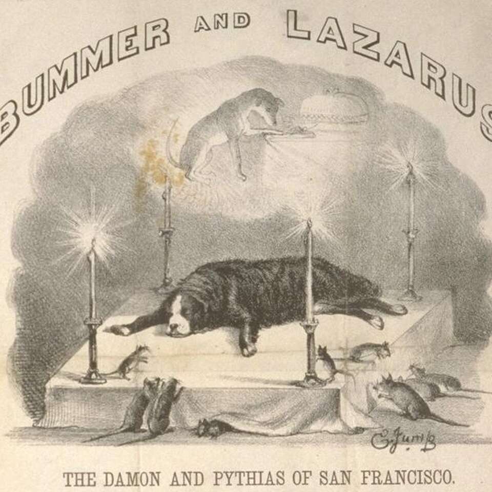 SF's first celebrity family was a pair of stray dogs named Bummer and ...