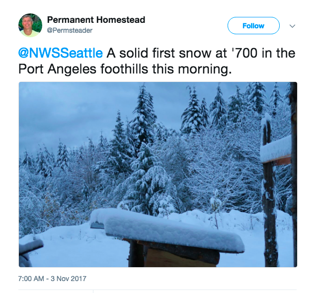 Snow falls on Seattle in early season cold snap