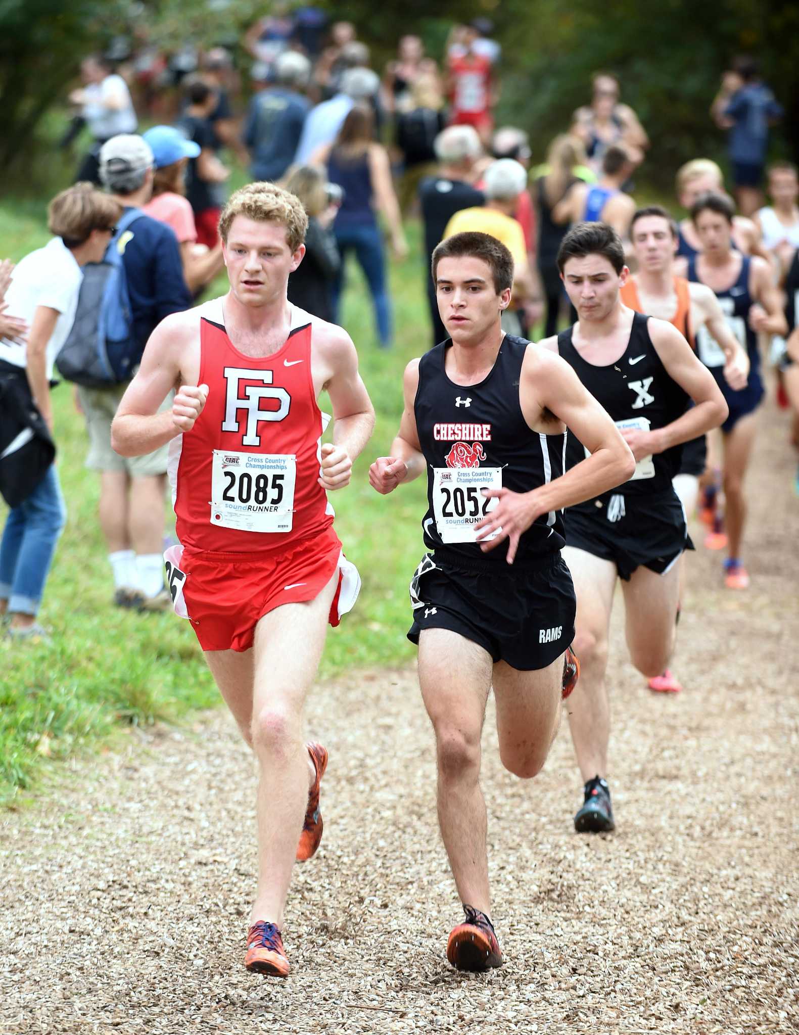 Fairfield Prep’s Thompson wins boys State Open cross country title