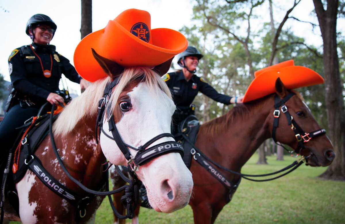 And the winner is...: HPD patrol horse with no name gets a Houston ...