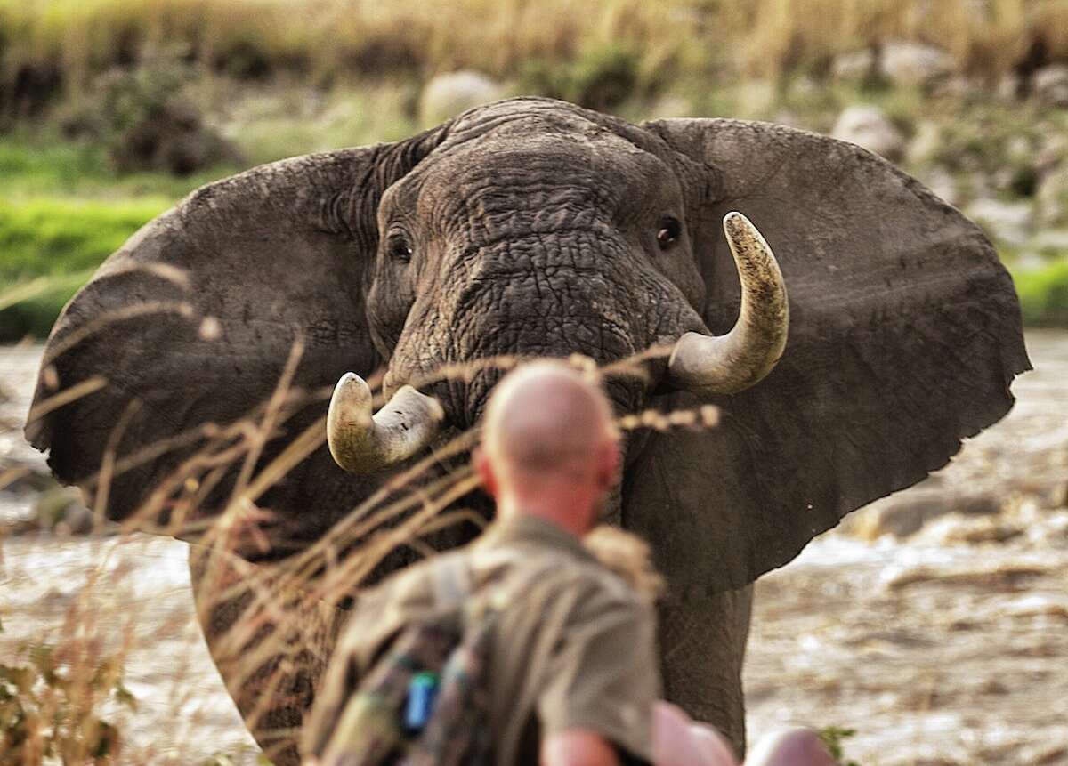 The Active Safari: Now you can explore parts of Africa by kayak ...