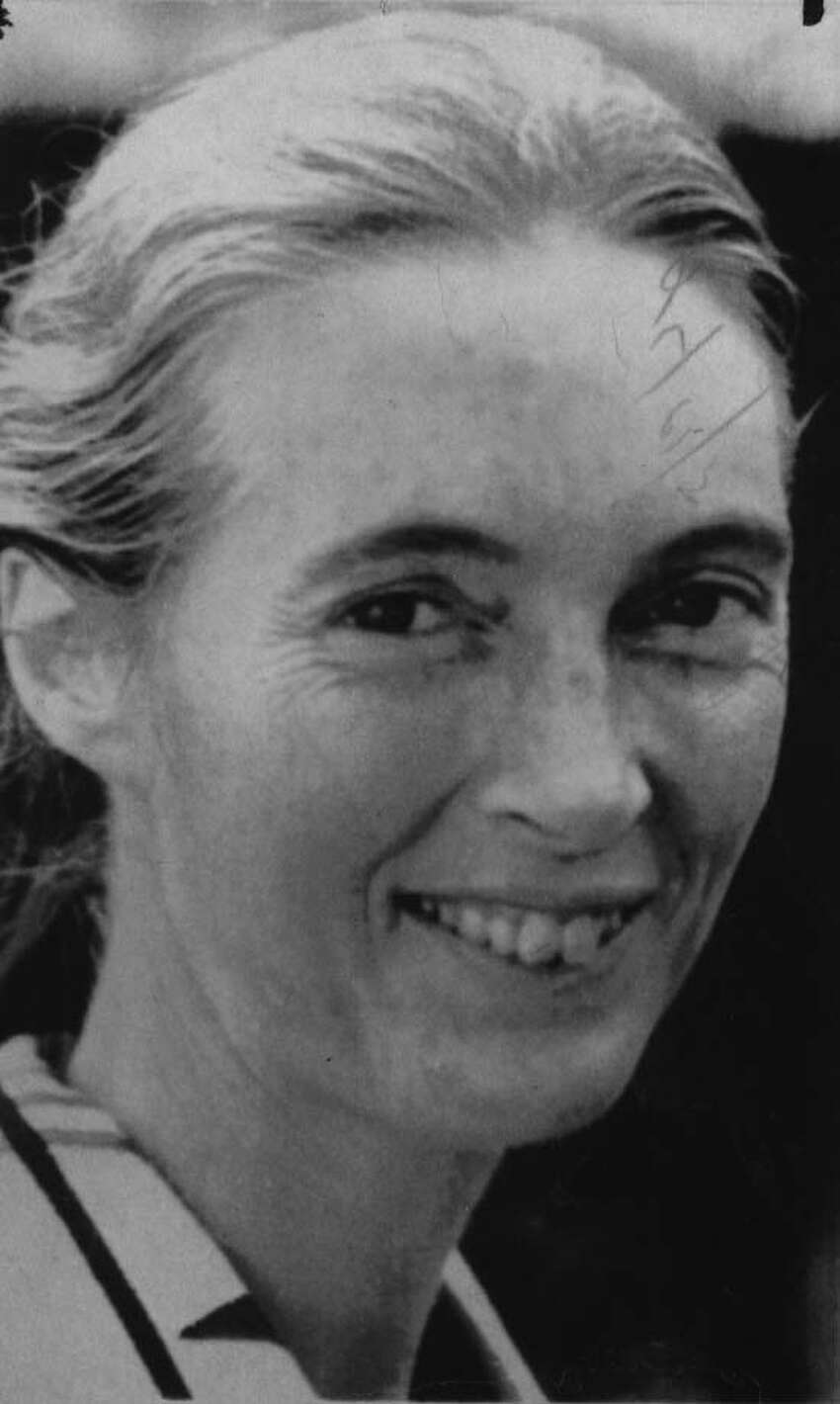 Review: 'Jane' travels back to Goodall's early years with chimps