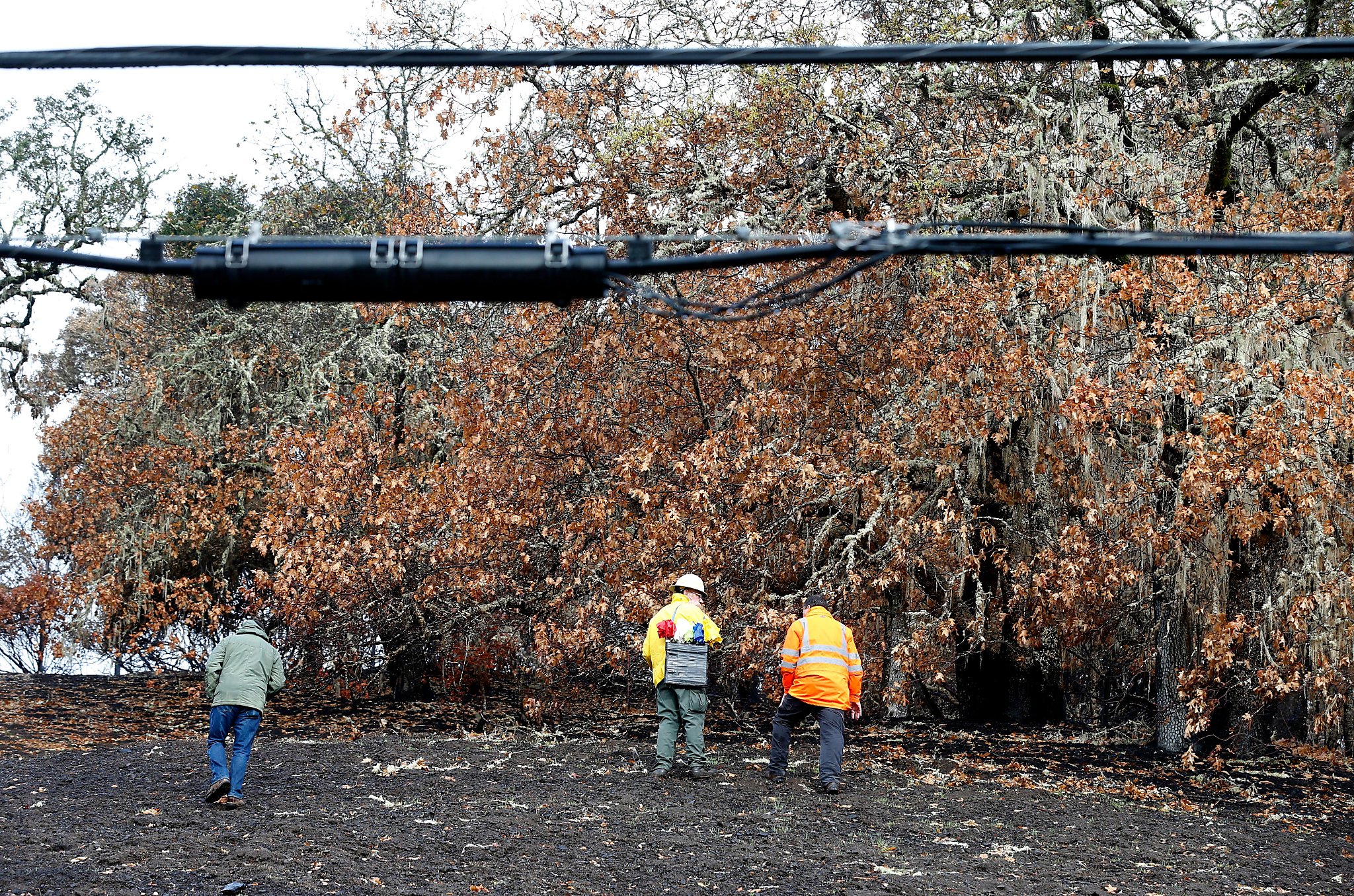 PG&E CEO may have overstated fire-prevention plan